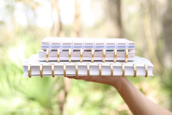 Why You Should Try Discbound Bullet Journaling