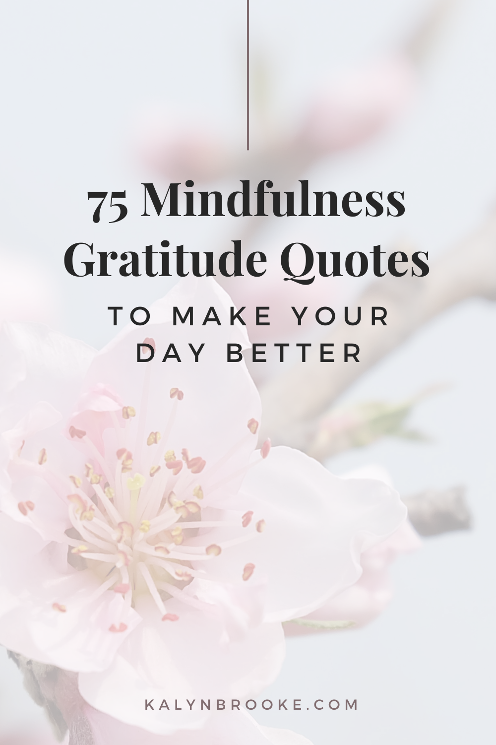 75 Mindfulness Gratitude Quotes to Make Your Day Better